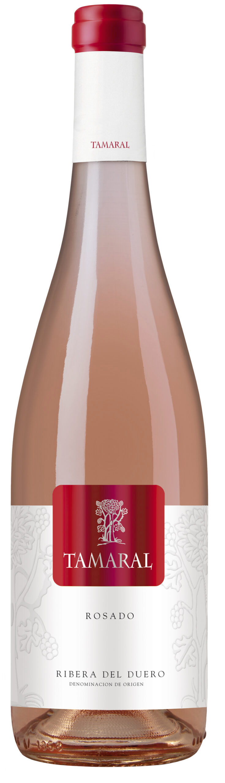 Bodegas Tamaral, cuando el arte se convierte en vino | El viajero global