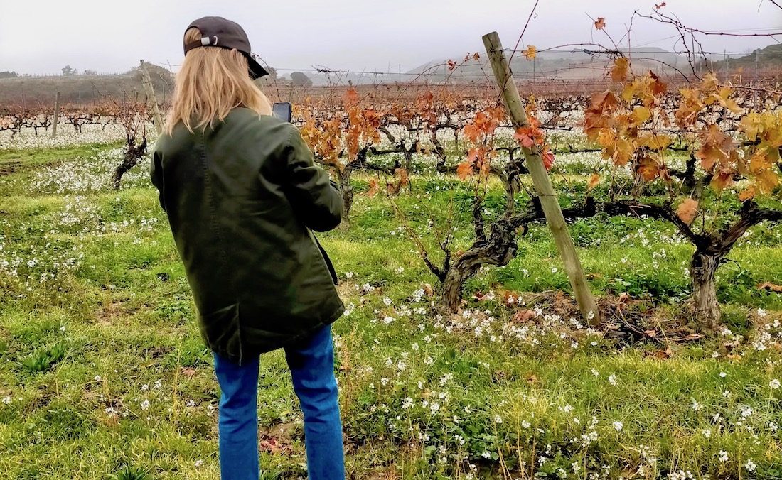 Murua, el arte de amar el vino | El viajero global