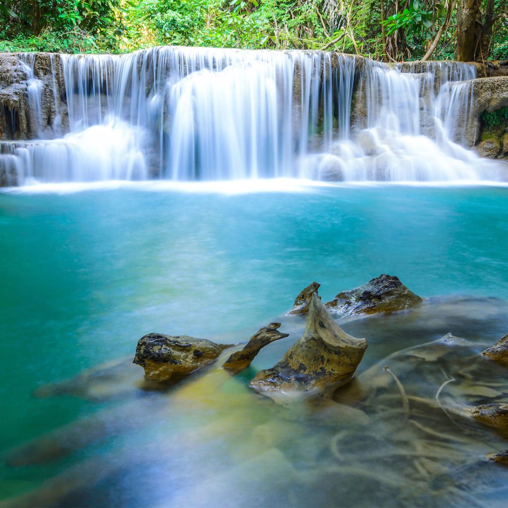 10 bosques del mundo donde sentir la magia de la naturaleza | El ...